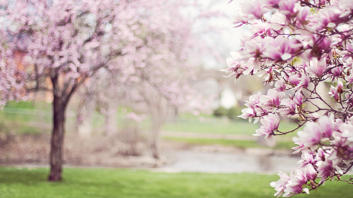Dolazi proljeće, a s njim i opasnosti koje vrebaju iz prirode